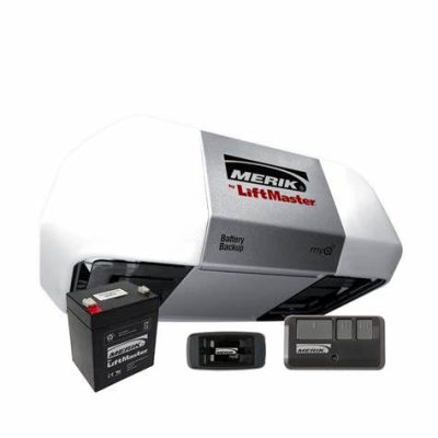 MOTOR MERIK 711 CON RIEL A 2.4 MTS Y DOS CONTROLES – Promatic MX