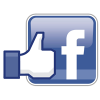 MOTOR MERIK 711 CON RIEL A 2.4 MTS Y DOS CONTROLES – Promatic MX